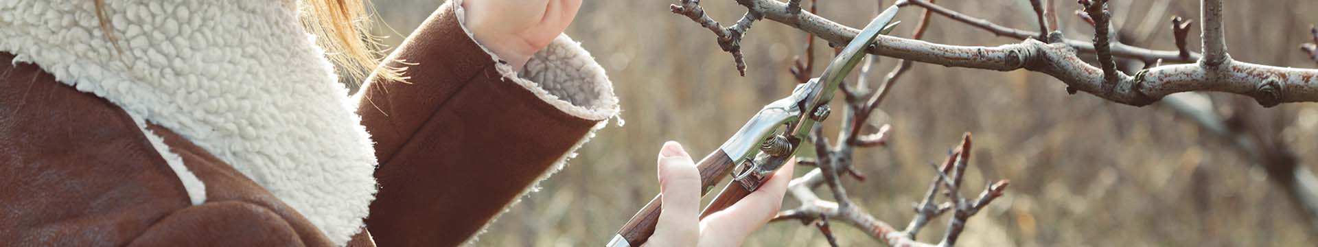 6 Essential Tree Care Items to Prepare for Spring - Go Green Tree and ...